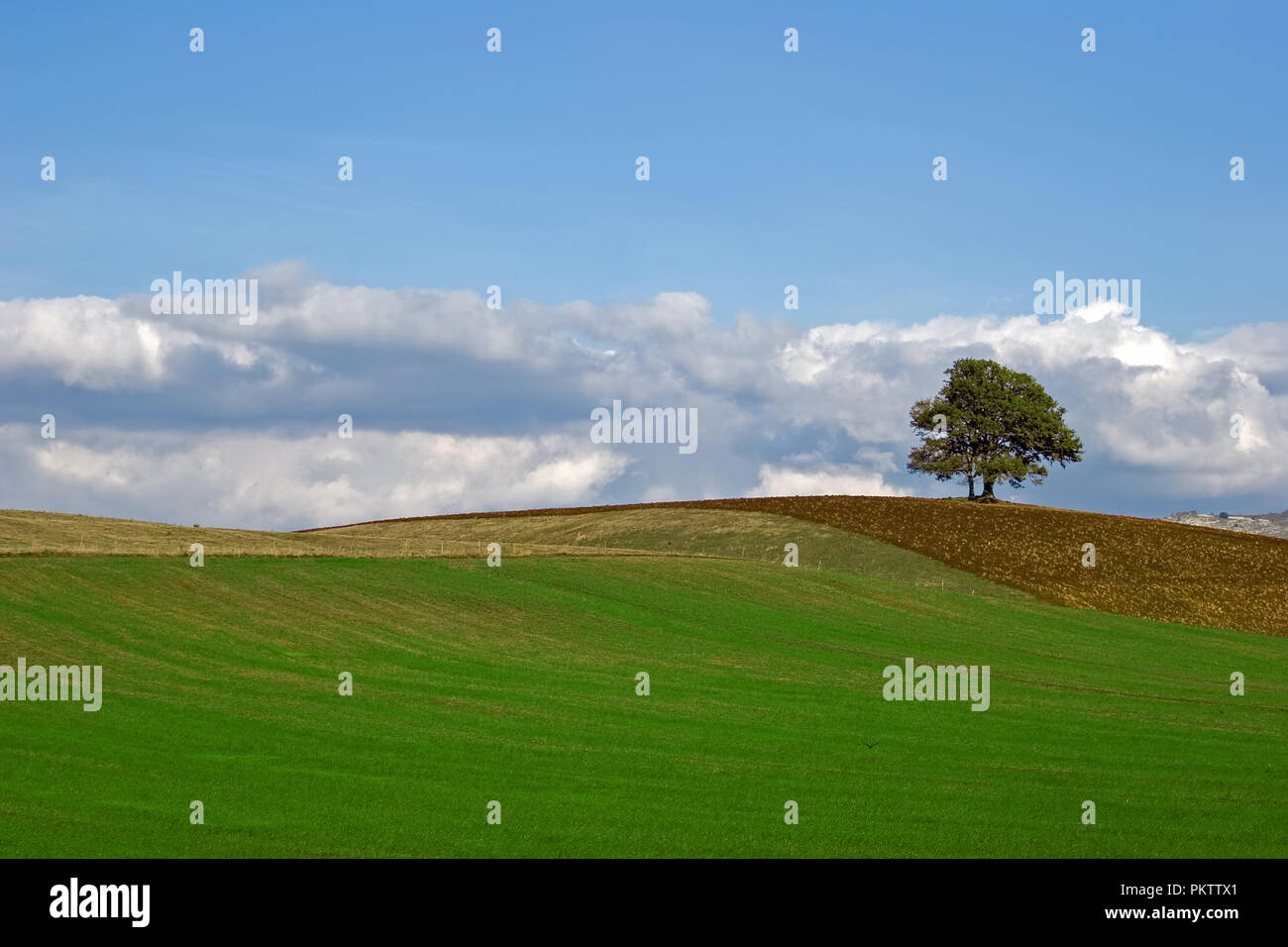 nature of italian countryside Stock Photo - Alamy
