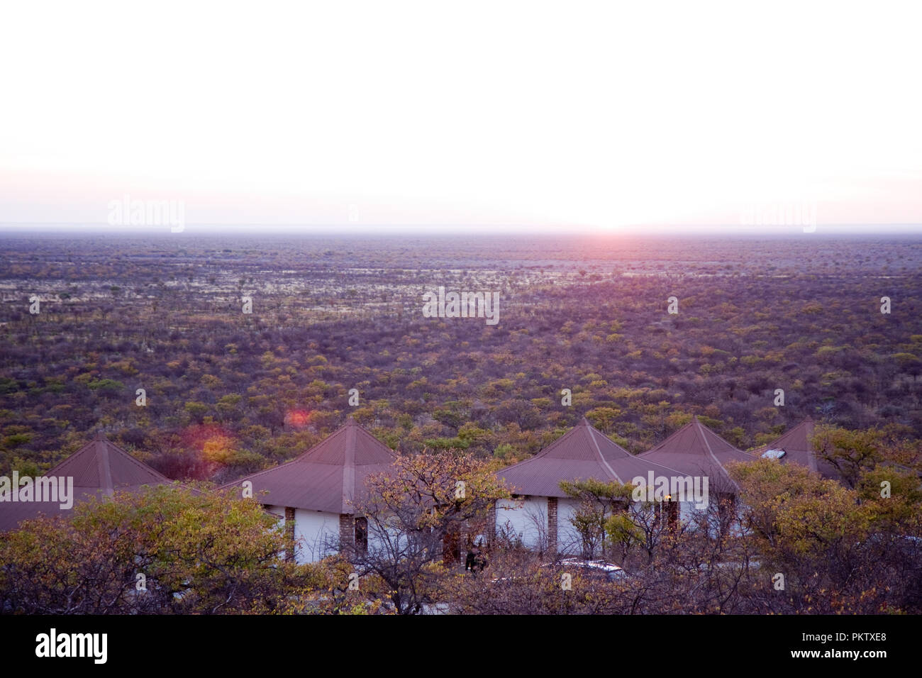 Etosha tourism hi-res stock photography and images - Alamy