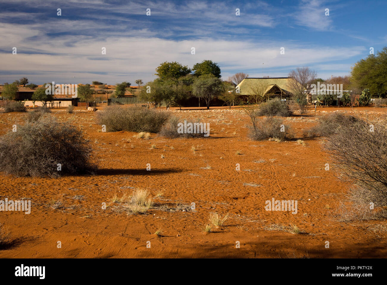 kalahari desert in namibia Stock Photo - Alamy