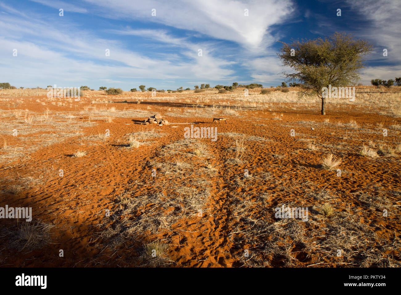 kalahari desert in namibia Stock Photo - Alamy