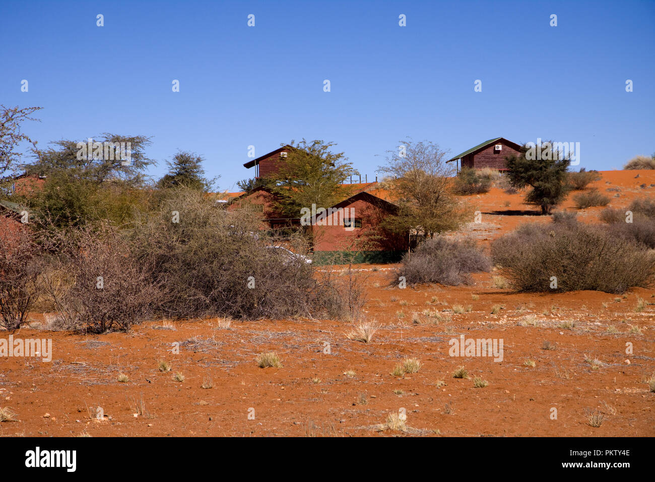kalahari desert in namibia Stock Photo - Alamy