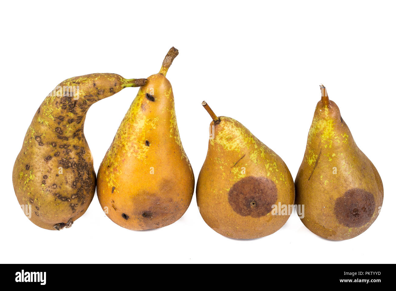 Pears And Disease Stock Photos & Pears And Disease Stock Images - Alamy