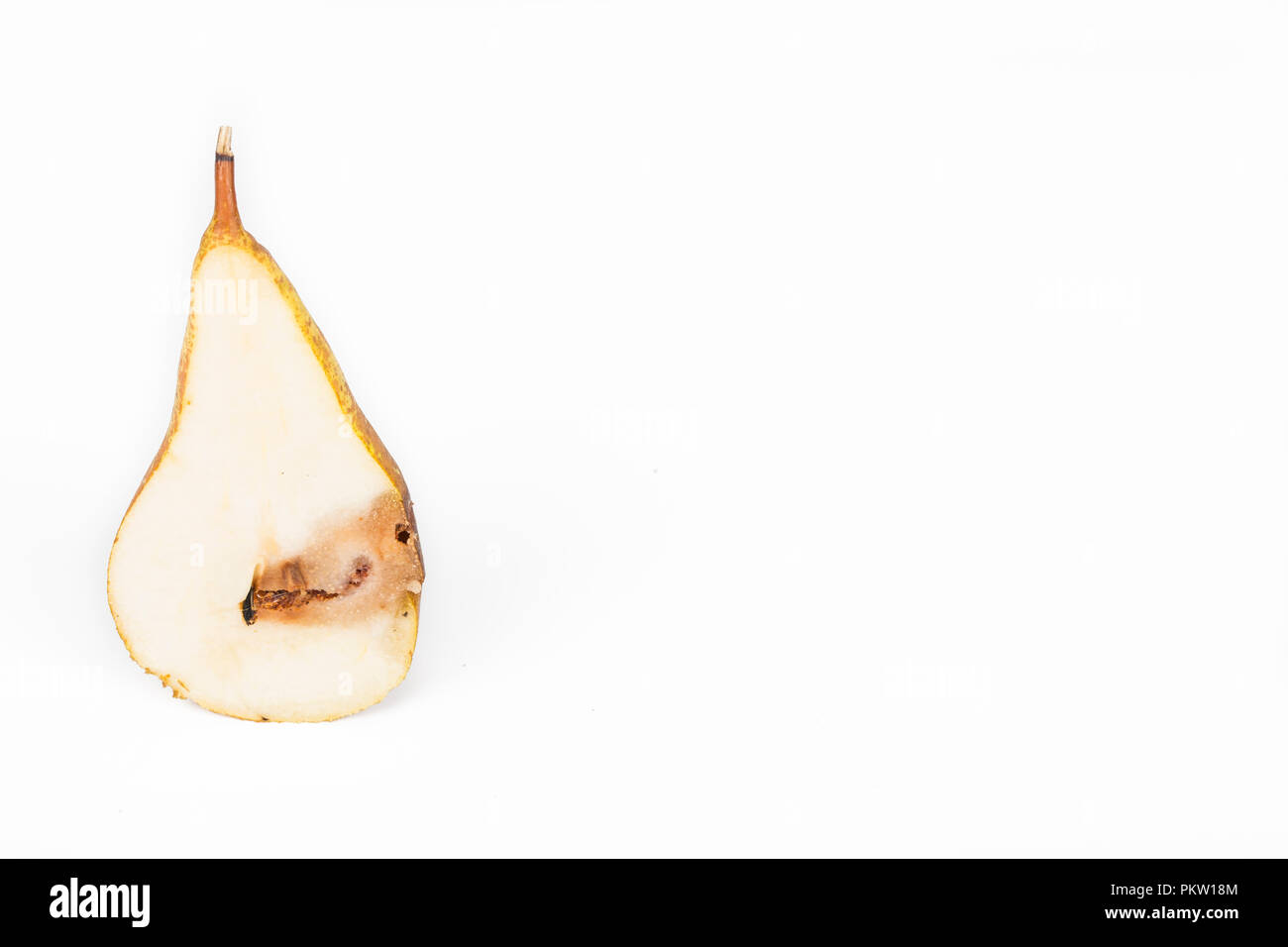 Close-up Boring trace of a codling moth Cydia Pomonella, in a half ...