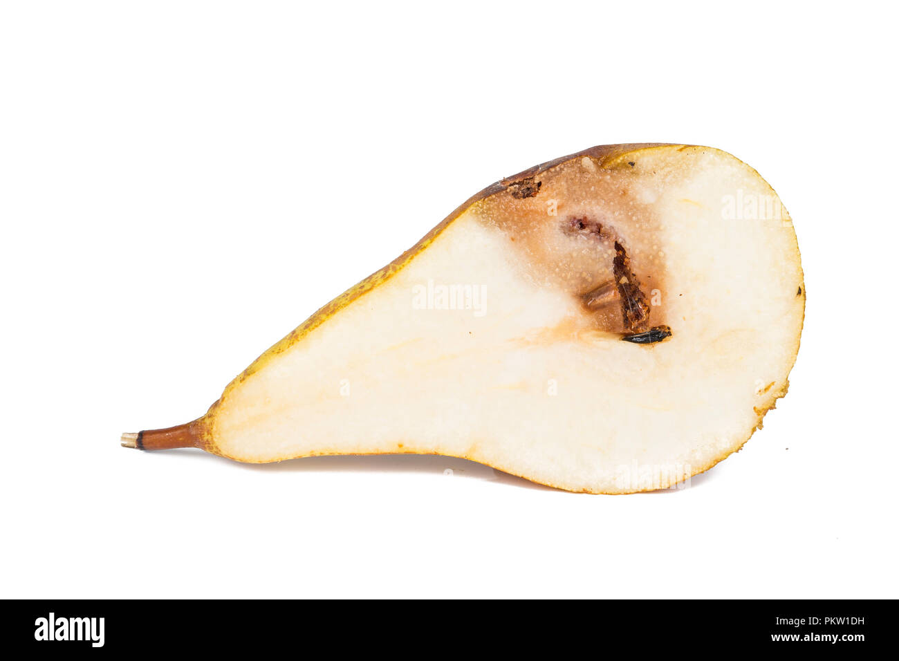 Close-up Boring trace of a codling moth Cydia Pomonella, in a half ...