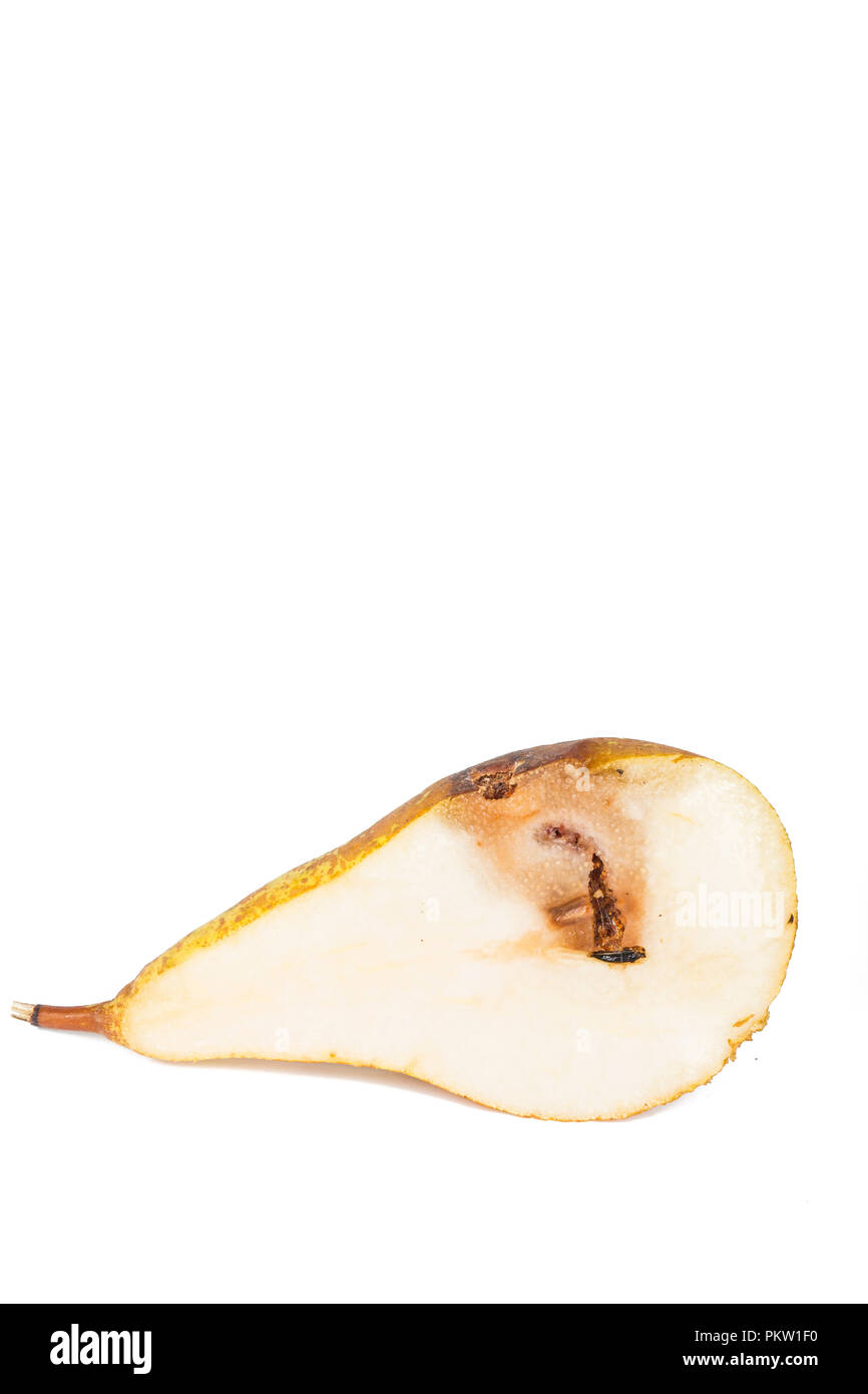 Close-up Boring trace of a codling moth Cydia Pomonella, in a half ...