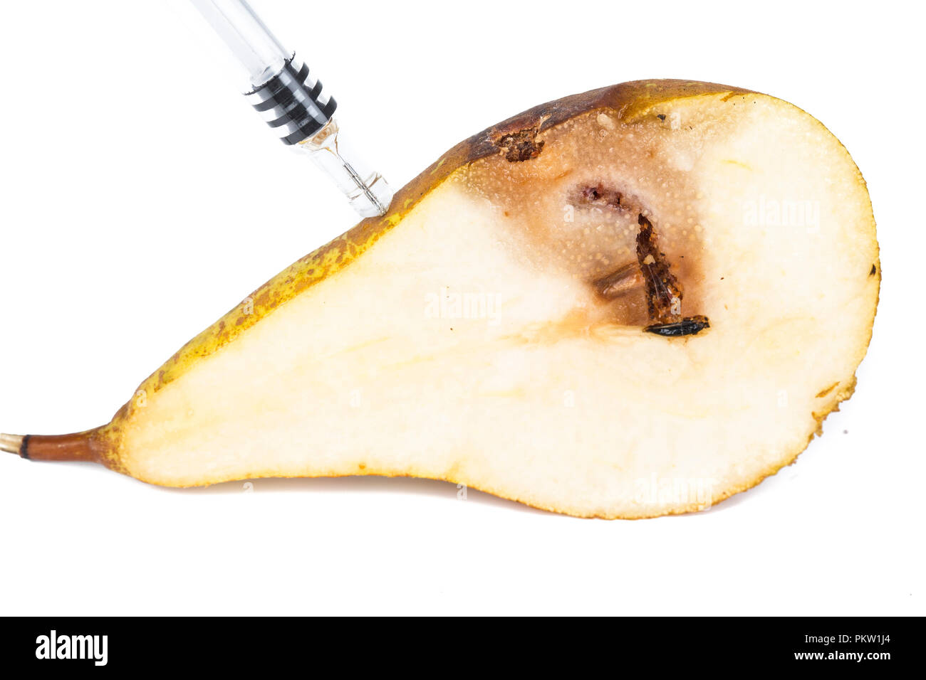 Close-up Boring trace of a codling moth Cydia Pomonella, in a half ...