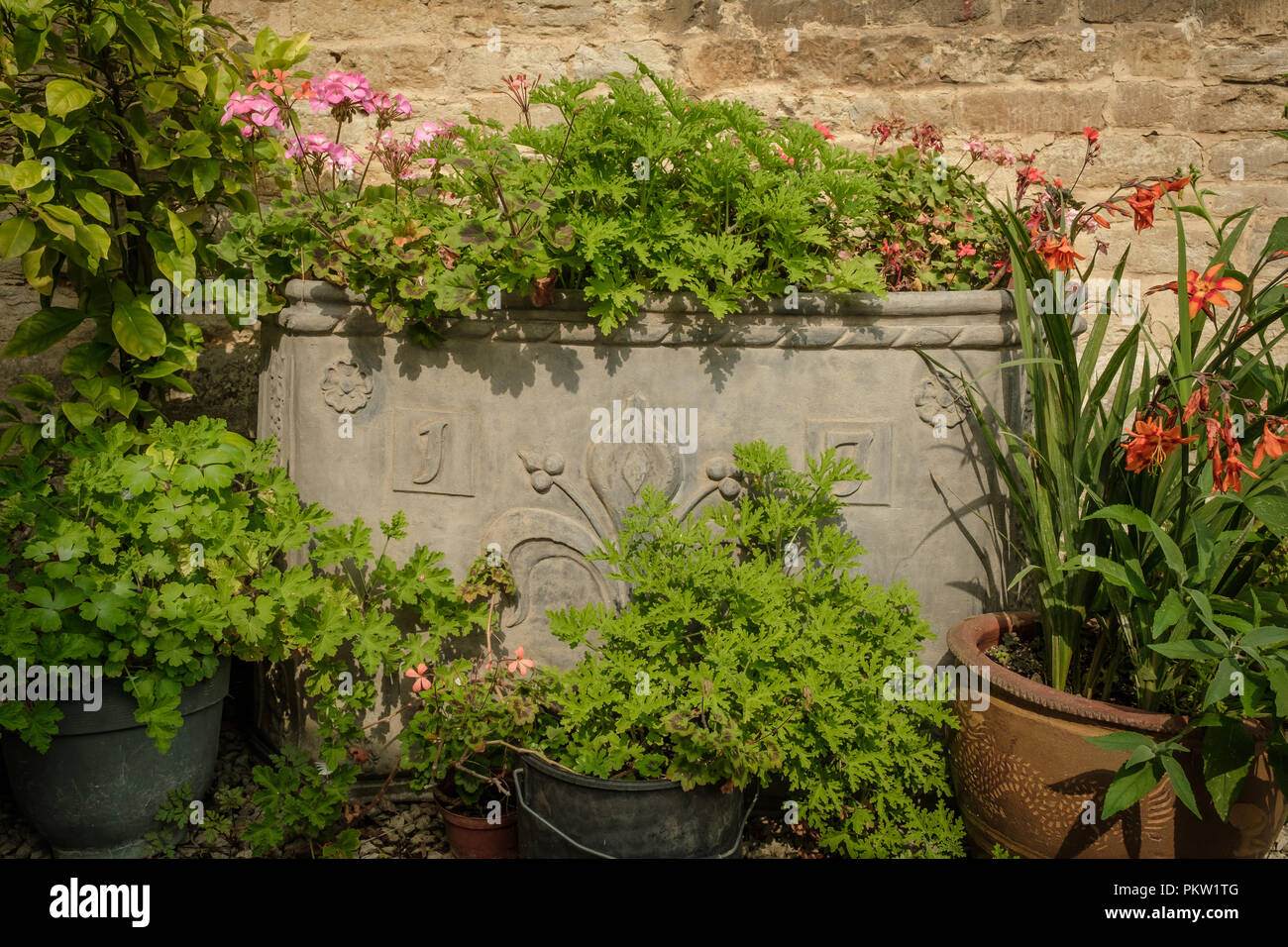 Lead planter hi-res stock photography and images - Alamy