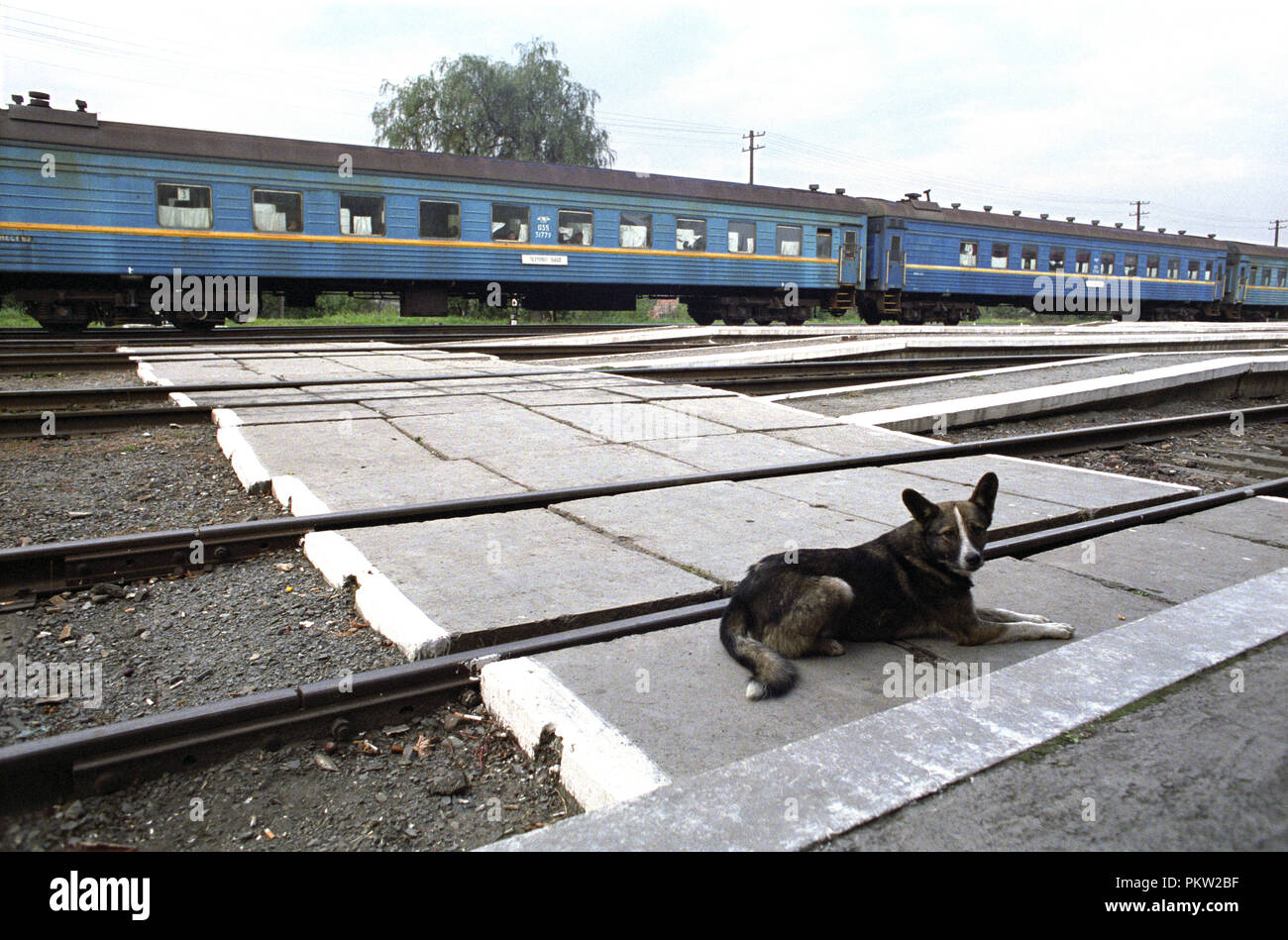 Passenger train in Ukraine Stock Photo - Alamy