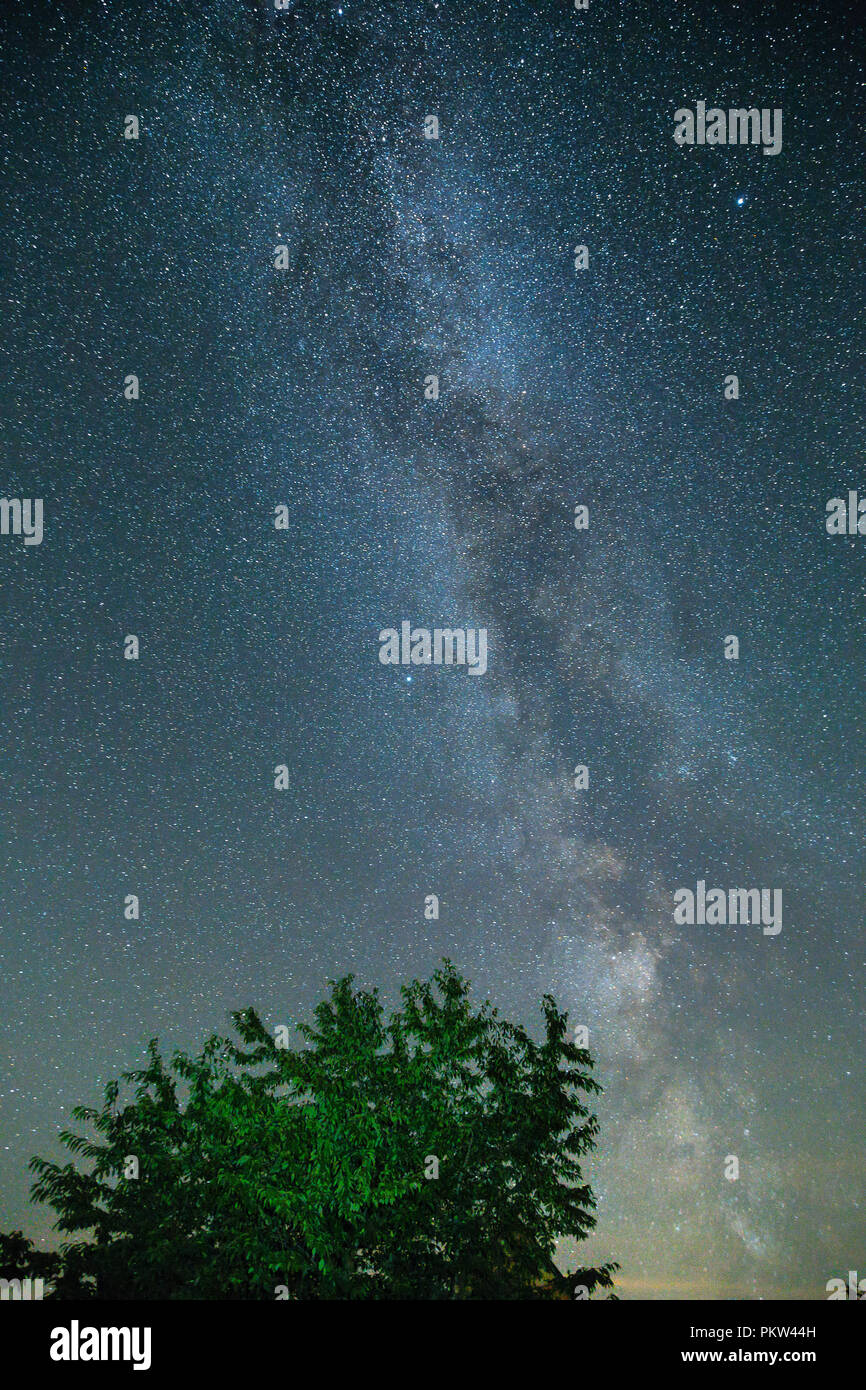 Milky Way Night Sky over Tree Stock Photo - Alamy