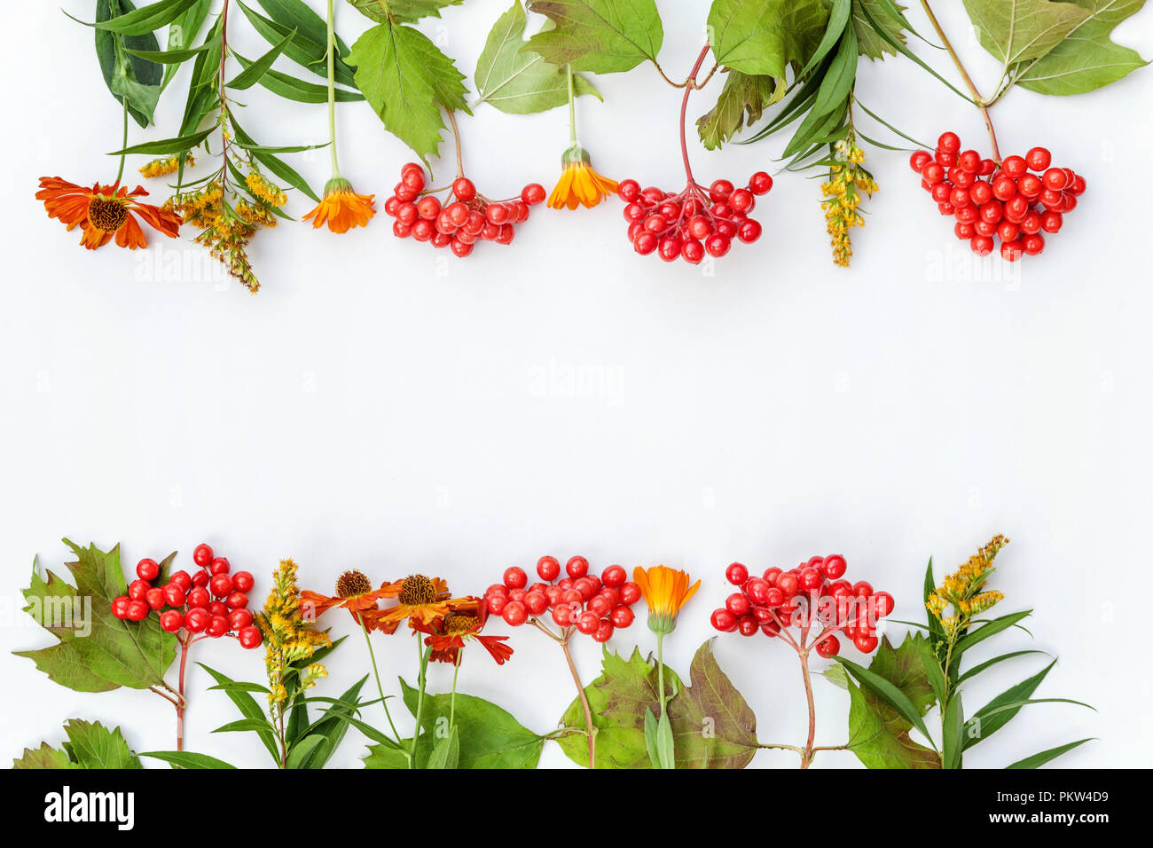 Autumn Flower Border High Resolution Stock Photography and Images - Alamy