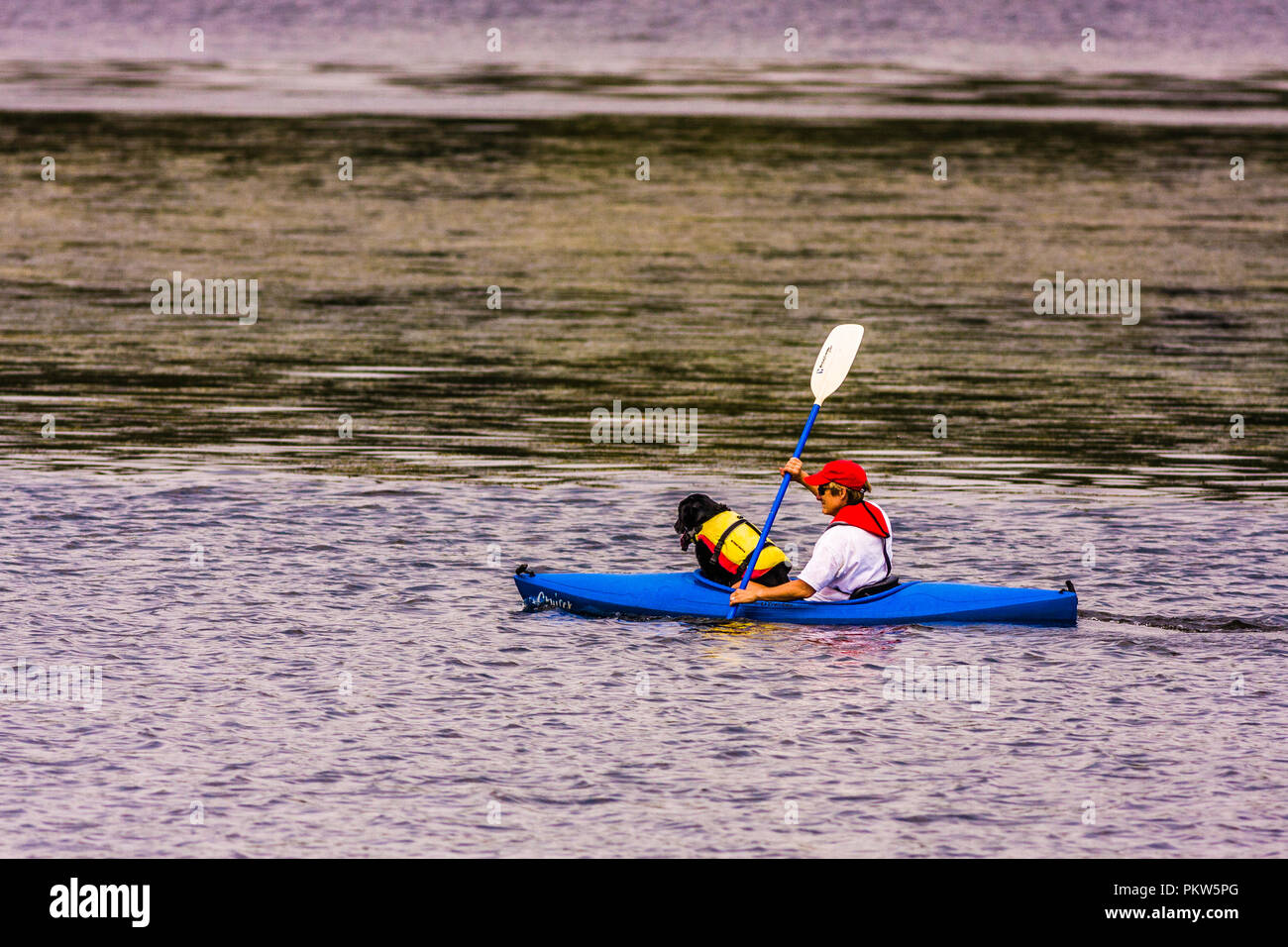Deep river ct hi-res stock photography and images - Alamy