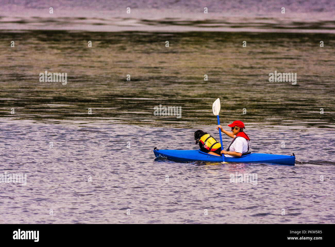 Deep river ct hi-res stock photography and images - Alamy