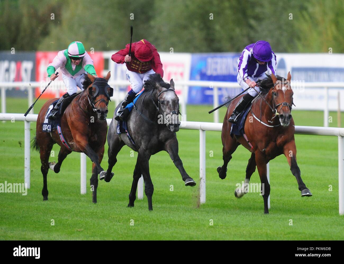 Roaring lion horse hi-res stock photography and images - Alamy