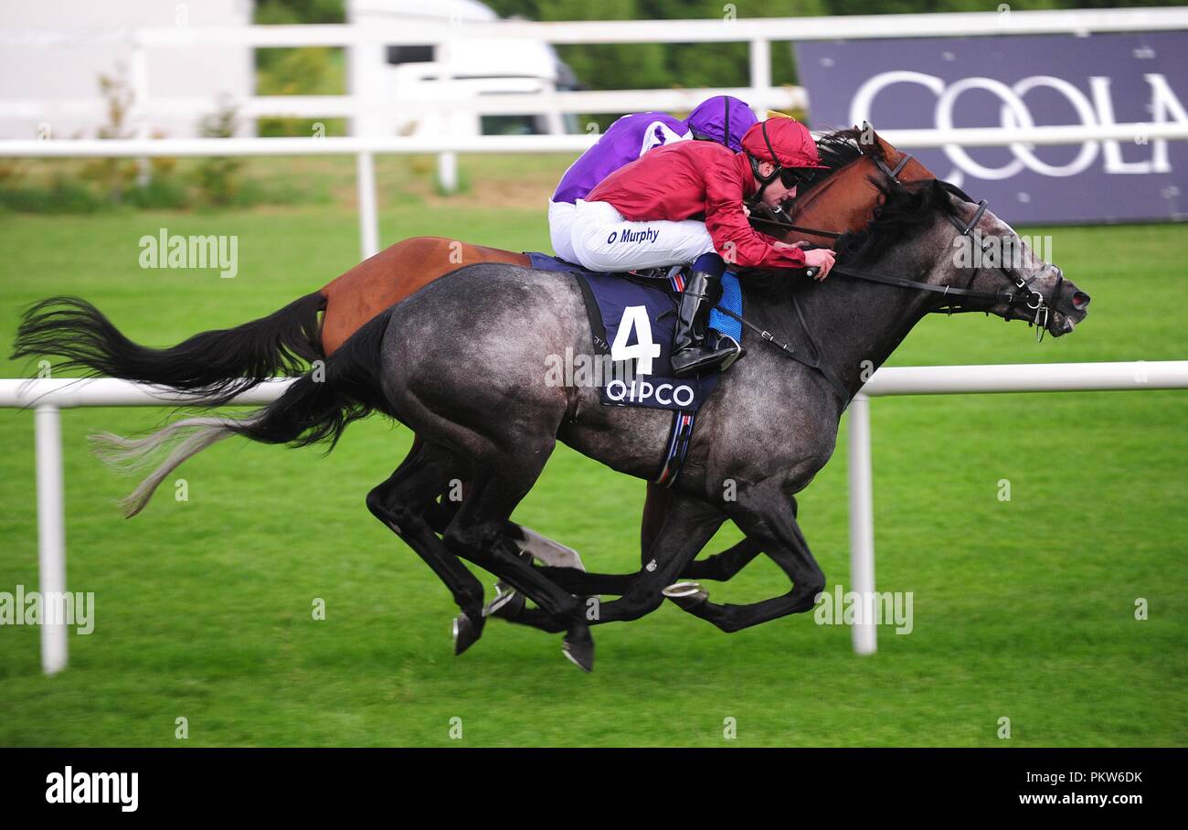Horse Roaring Lion & Oisin Murphy (near side) win the Group 1 Qipco ...