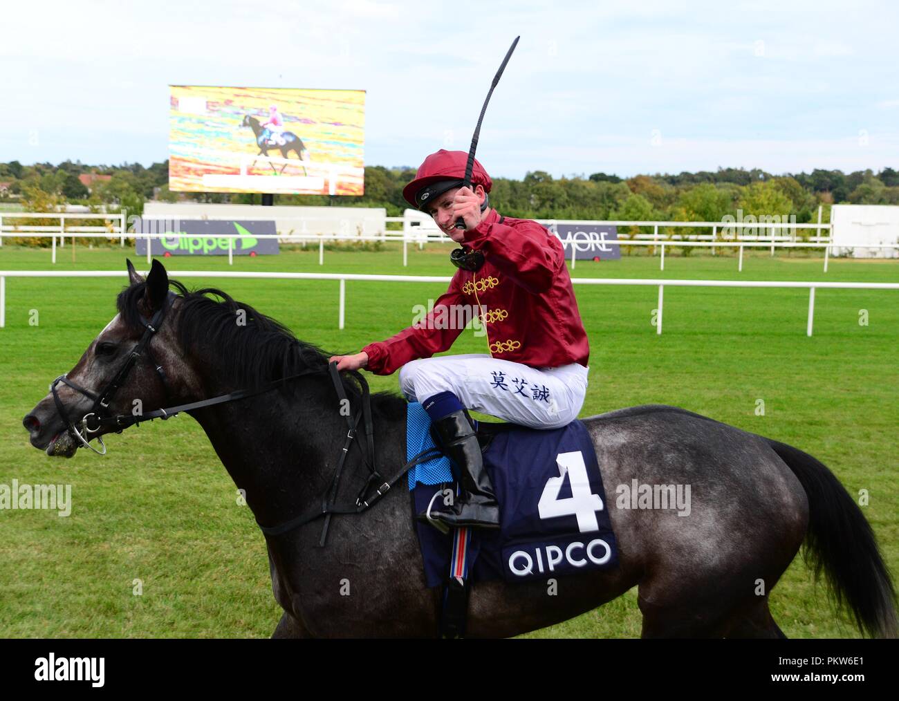 Horse Roaring Lion & Oisin Murphy (near side) win the Group 1 Qipco ...