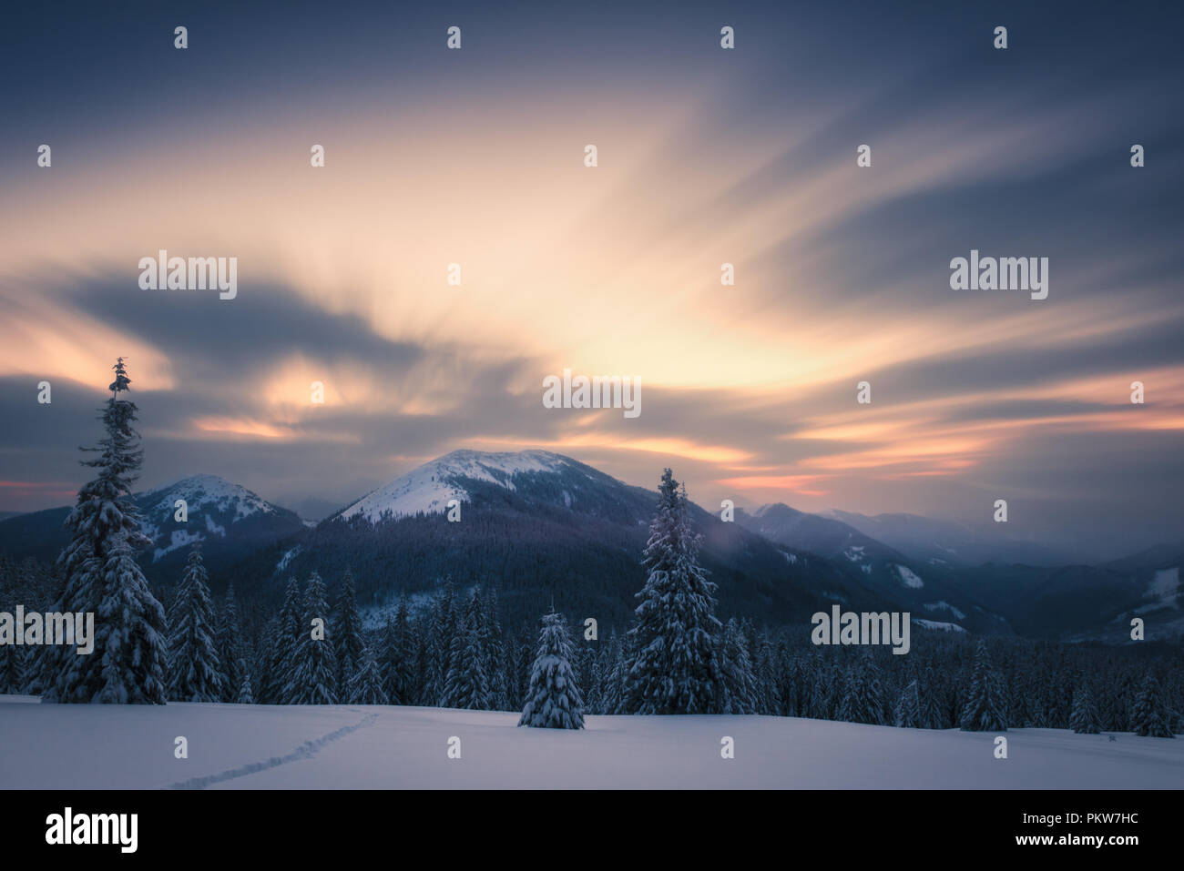Beautiful scene snowy trees hi-res stock photography and images - Alamy