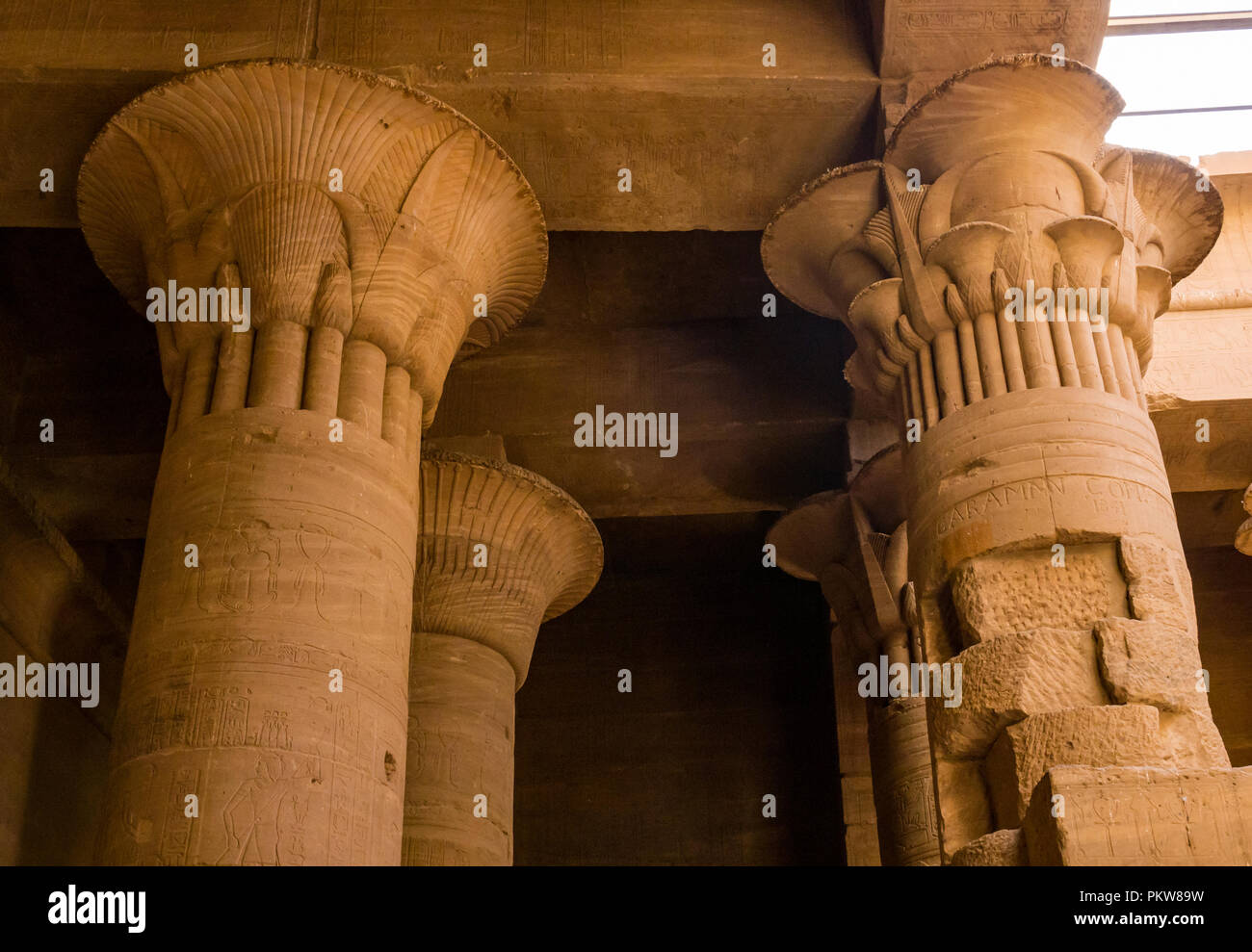 Looking up at floral decoration of Palmiform damaged columns of ...