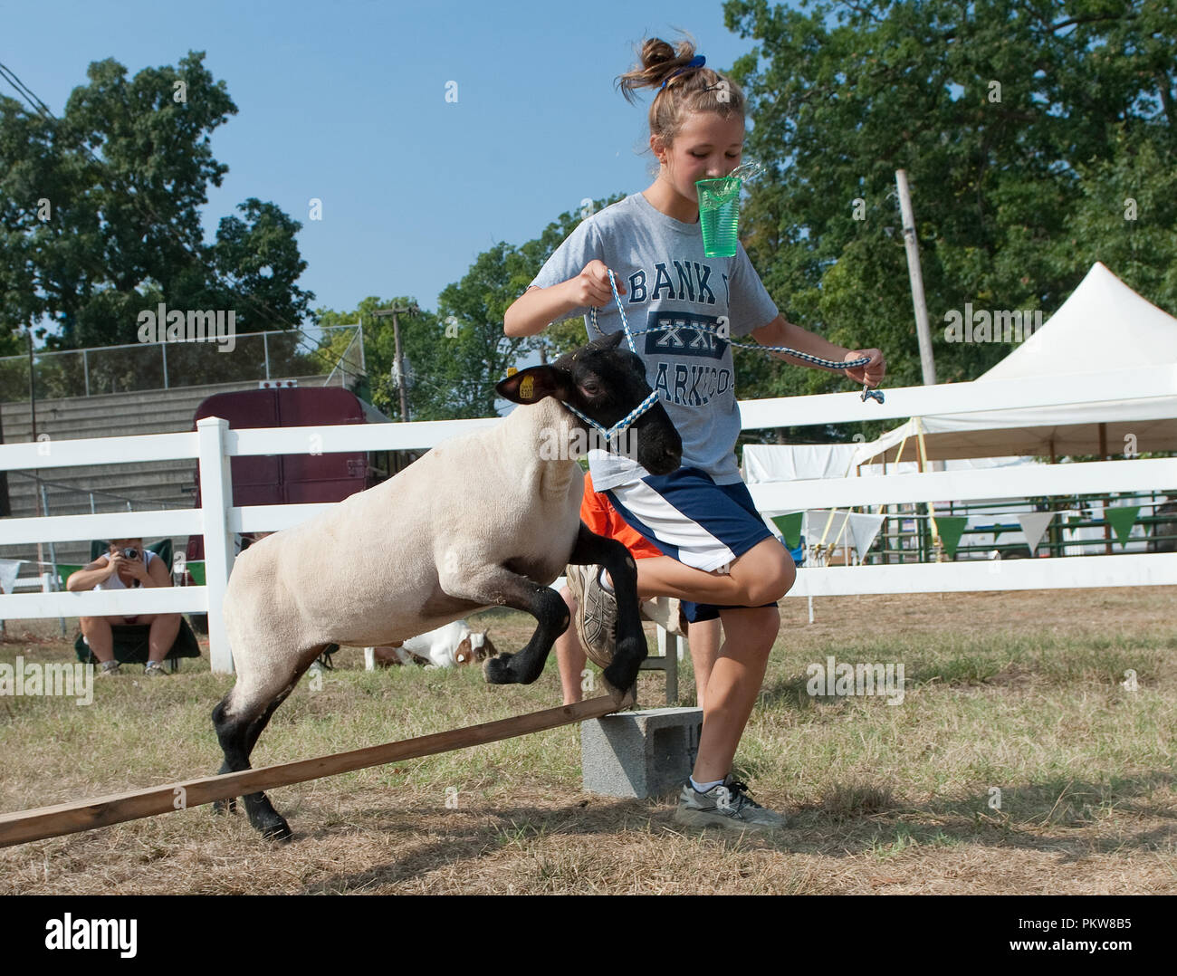 The Sheep & Goat Olympics at the 56th Annual Clarke County Fair. August ...