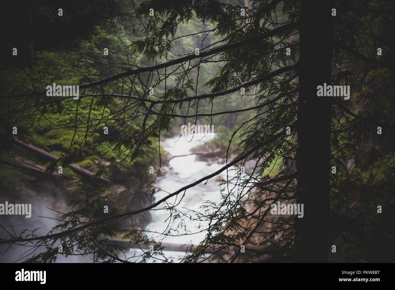 Small River in the Cascade Mountains in Washington state, USA Stock ...