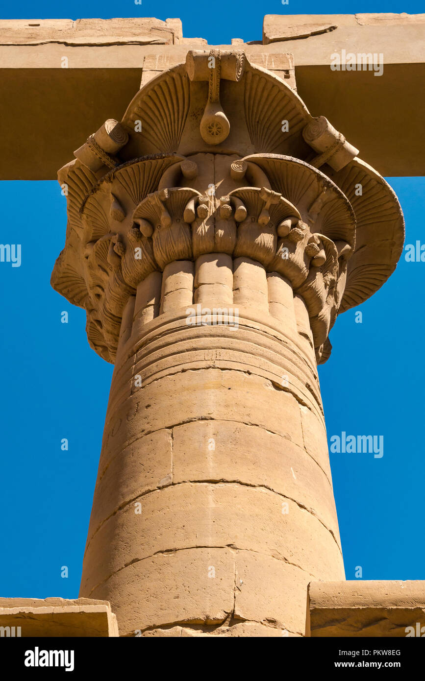 Palmiform column hi-res stock photography and images - Alamy