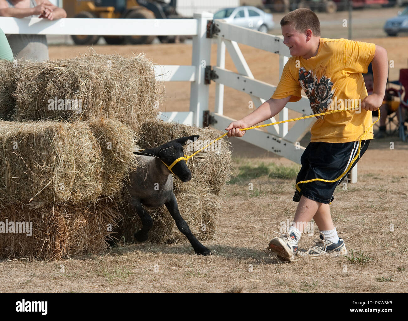 The Sheep & Goat Olympics at the 56th Annual Clarke County Fair. August ...