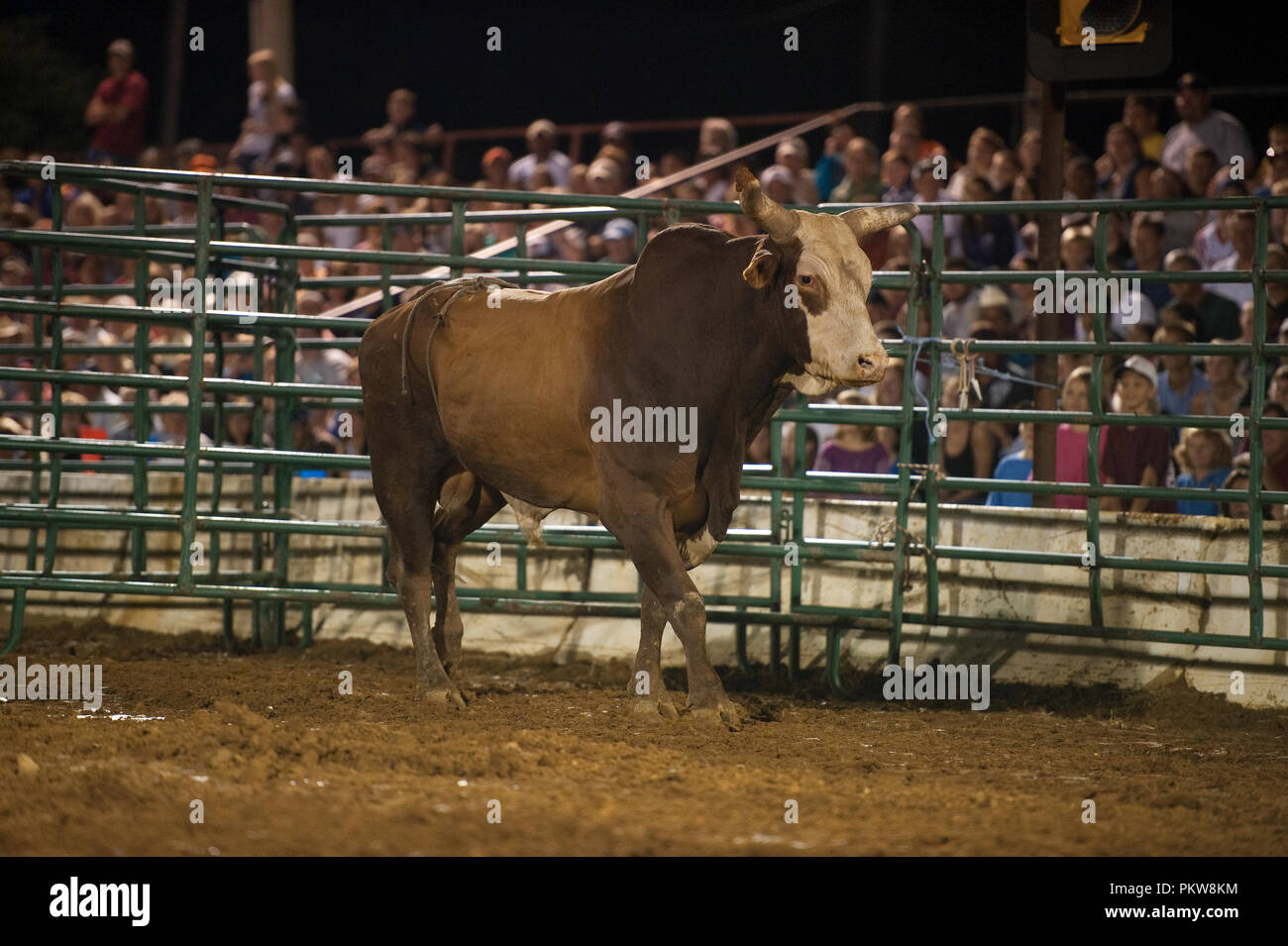 The main event on Friday the 13th was bull riding at the 56th Annual ...