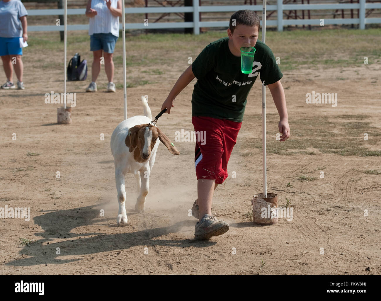 The Sheep & Goat Olympics at the 56th Annual Clarke County Fair. August ...