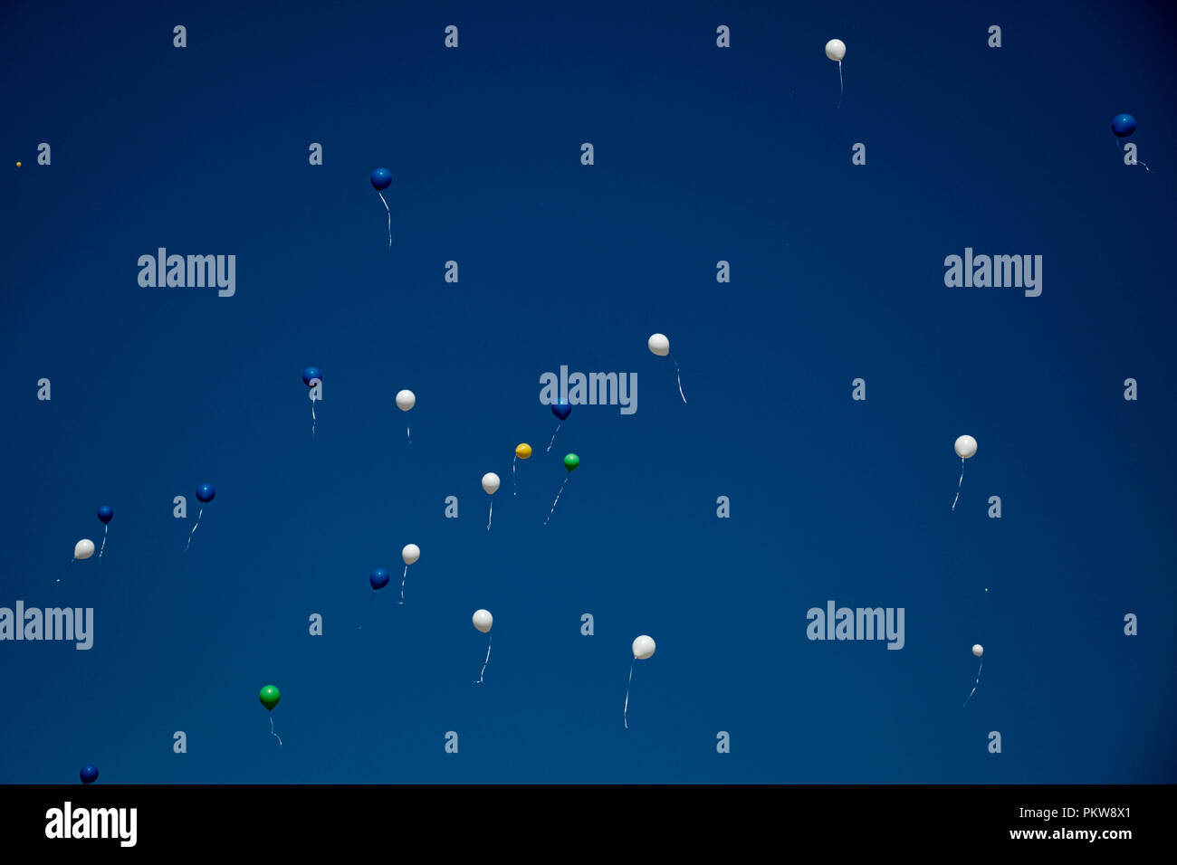 Colorful balloons released in a blue sky during summer at the park in ...