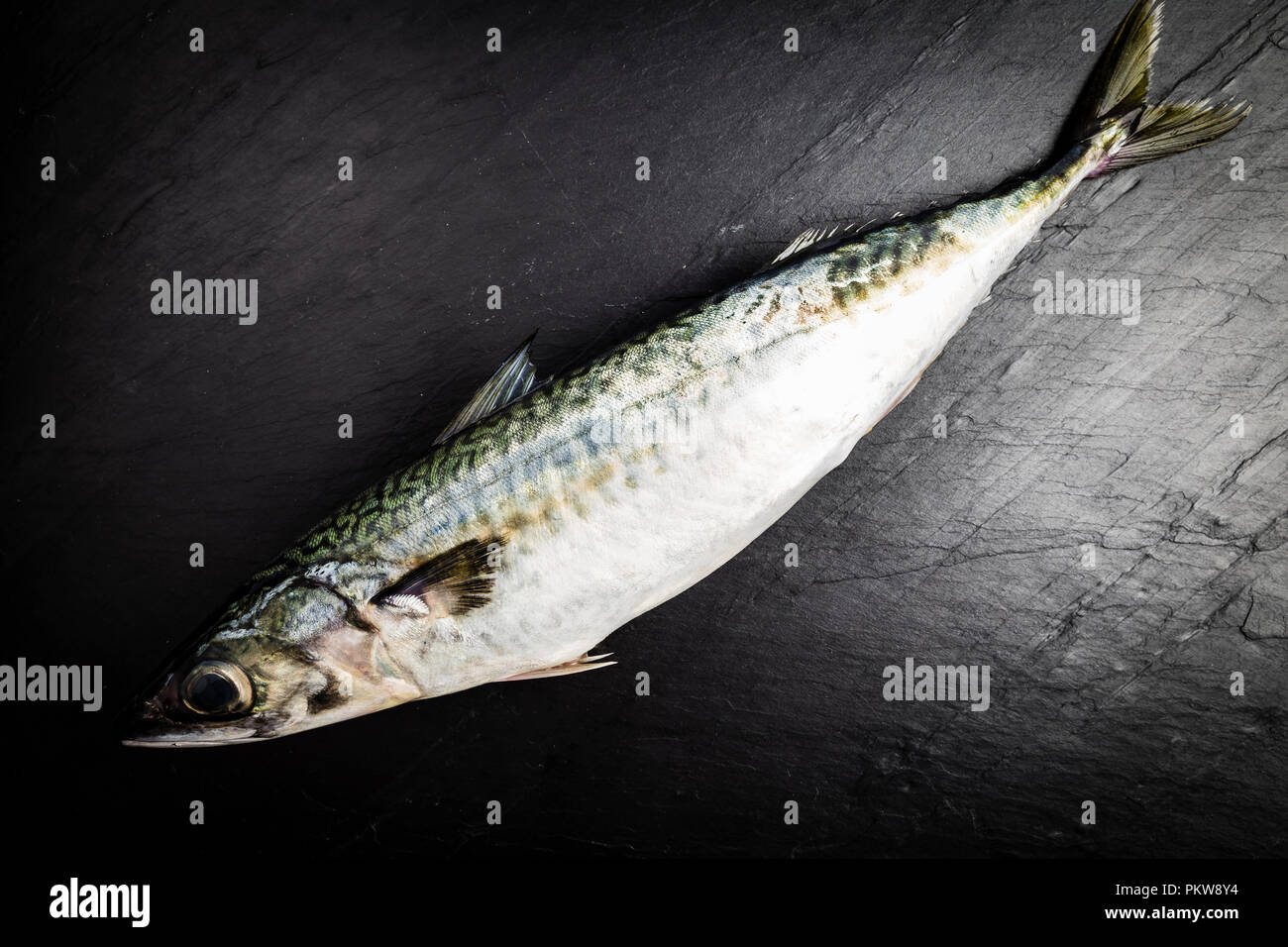 Mackerel fresh fish on a black slate table prepared for cooking Stock ...