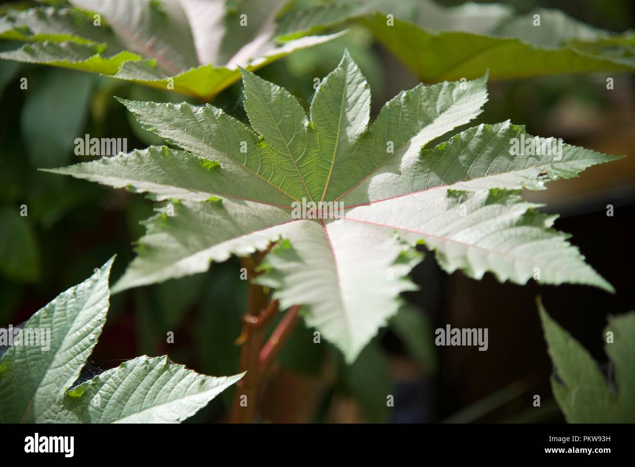 Inside outside hi-res stock photography and images - Alamy