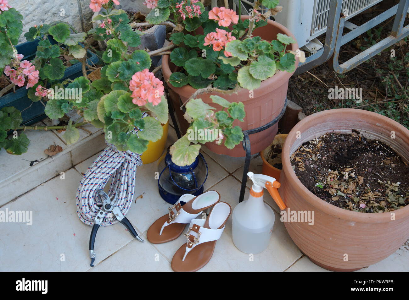 mix tools for gardening hobby Stock Photo - Alamy