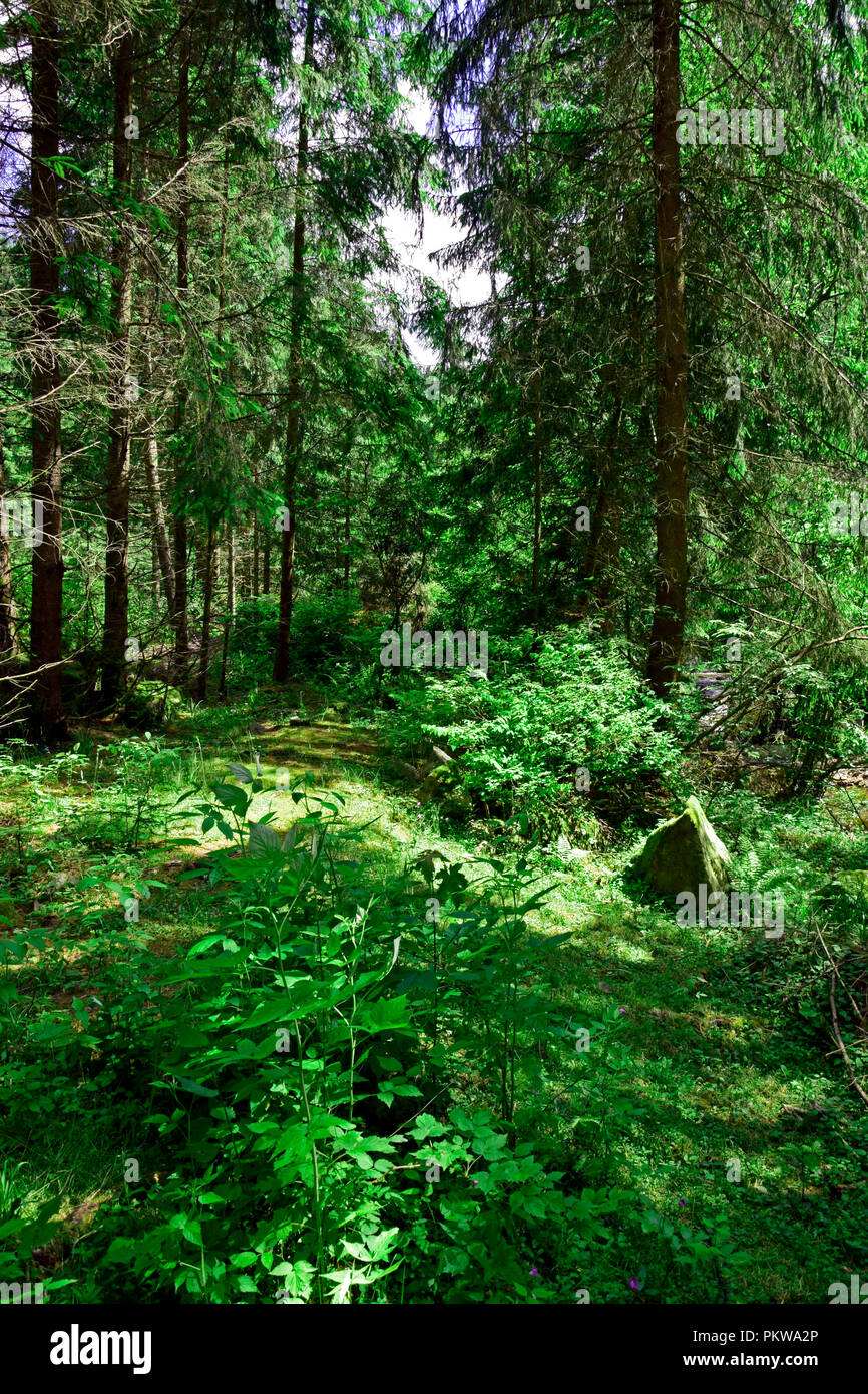 Environment overwhelming hi-res stock photography and images - Alamy