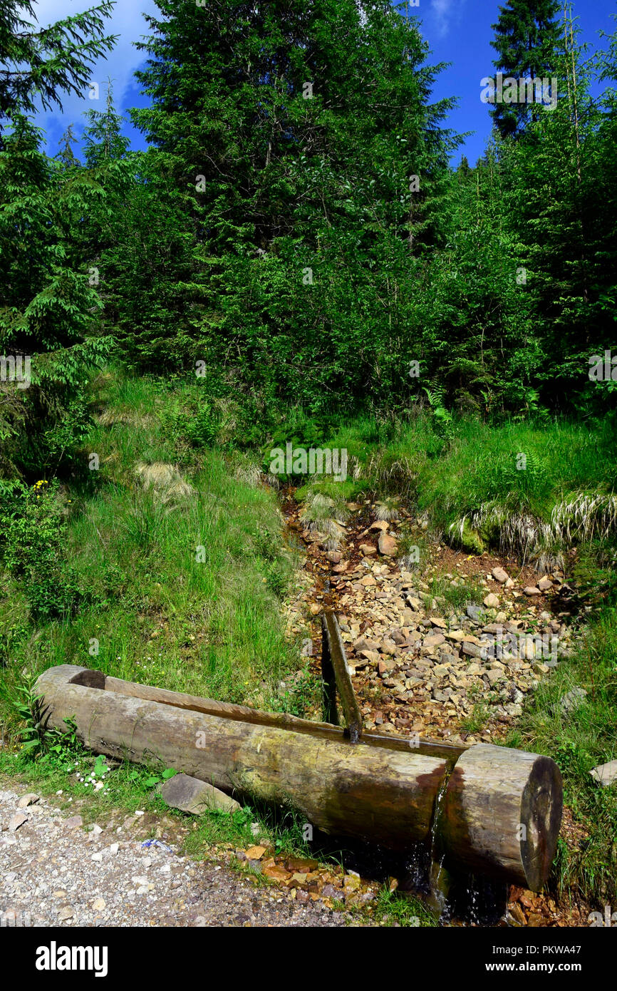 Wooden water trough hi-res stock photography and images - Alamy