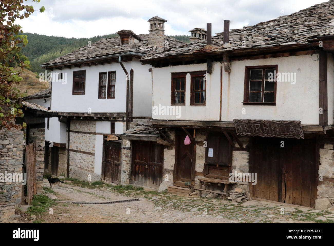 Old houses in the historical cultural reserve village of Dolen ...