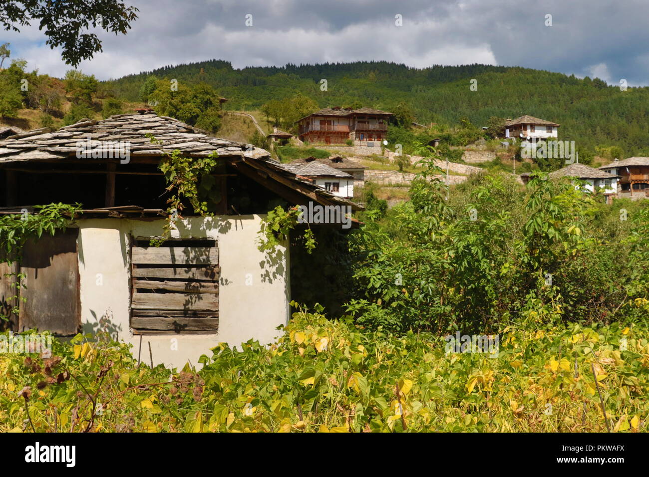 Old houses in the historical cultural reserve village of Dolen ...