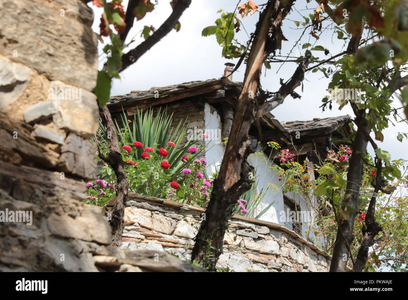 Old houses in the historical cultural reserve village of Dolen ...