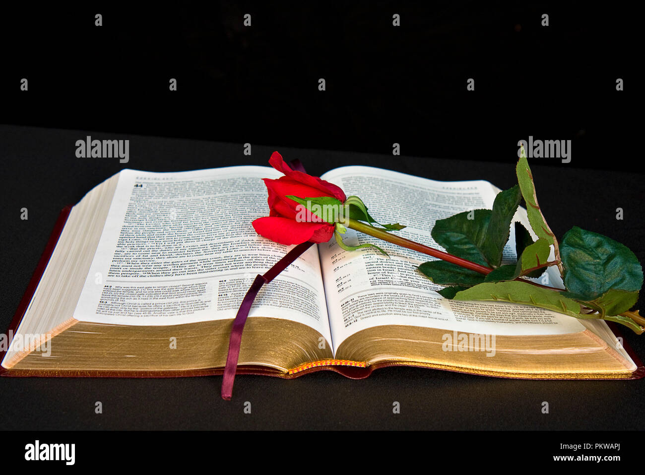 Christian Scripture Backgrounds