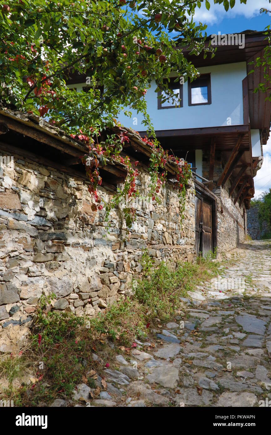 Old houses in the historical cultural reserve village of Dolen ...