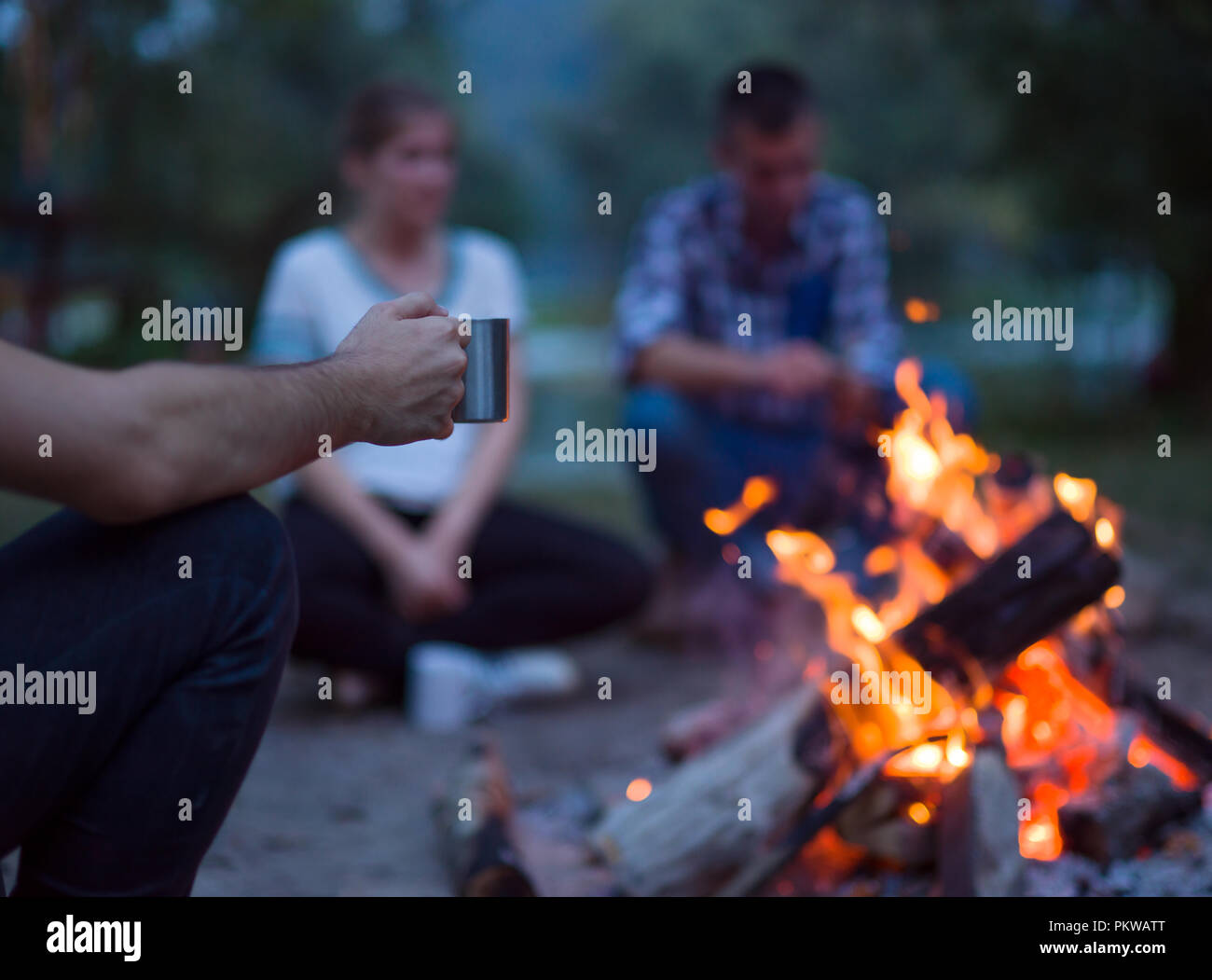 a group of happy young friends relaxing and enjoying summer evening ...
