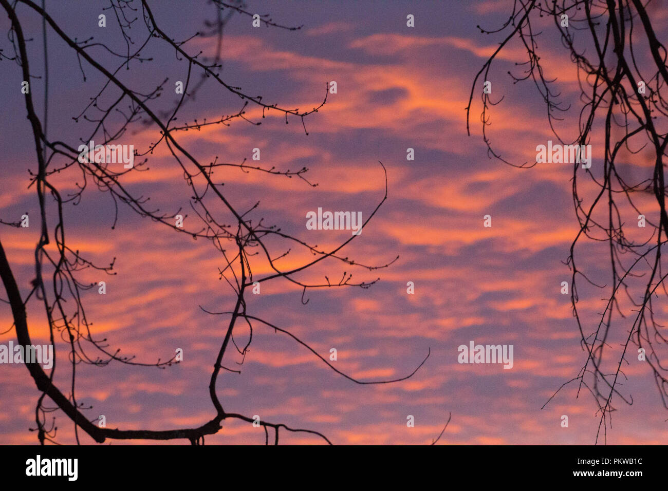 Red Sky Clouds at Sunset, Ohio Stock Photo - Alamy