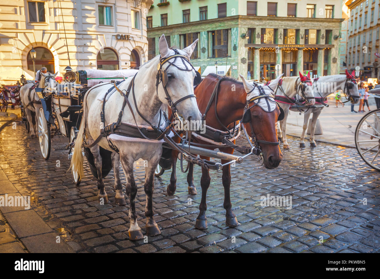 Horse drawn carriage vienna hi-res stock photography and images - Alamy