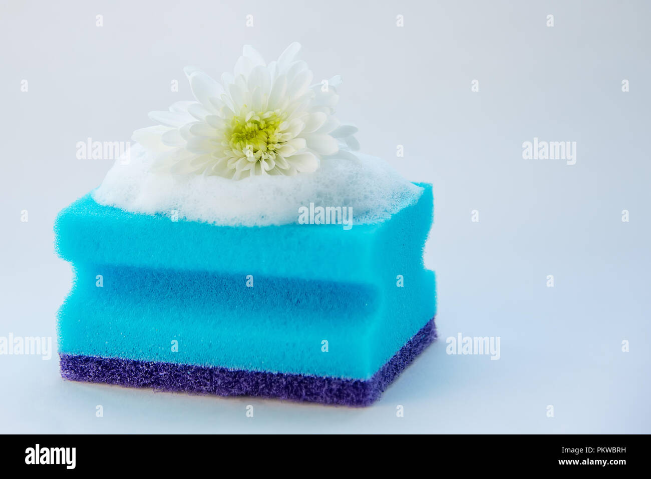 sponge for washing dishes with detergent close-up on a white background ...