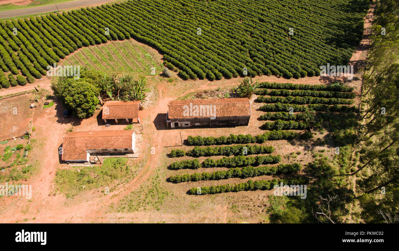 Coffee plantation farm in Brazil. Very simple house and a coffee ...