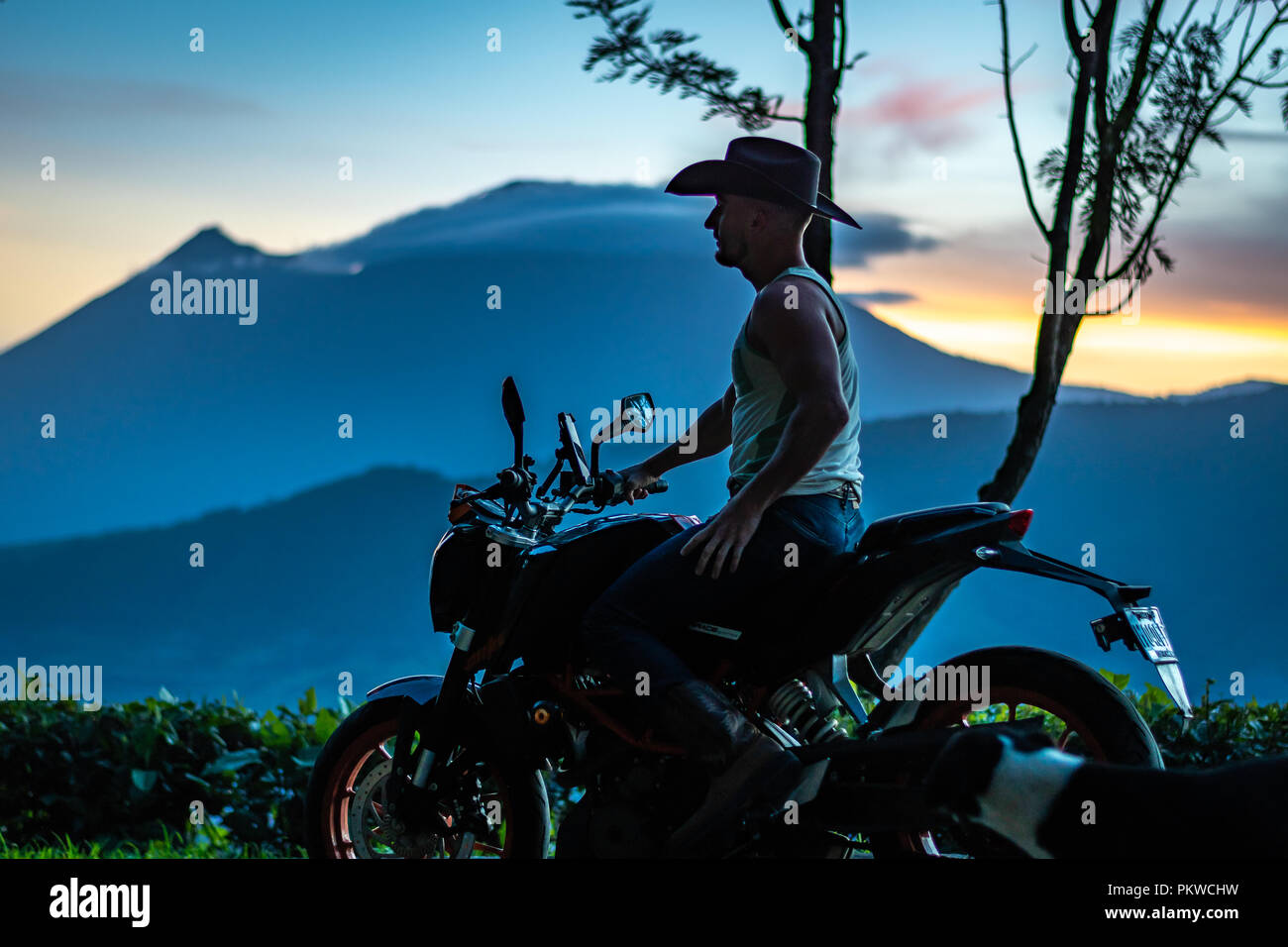 Moto in the woods hi-res stock photography and images - Alamy