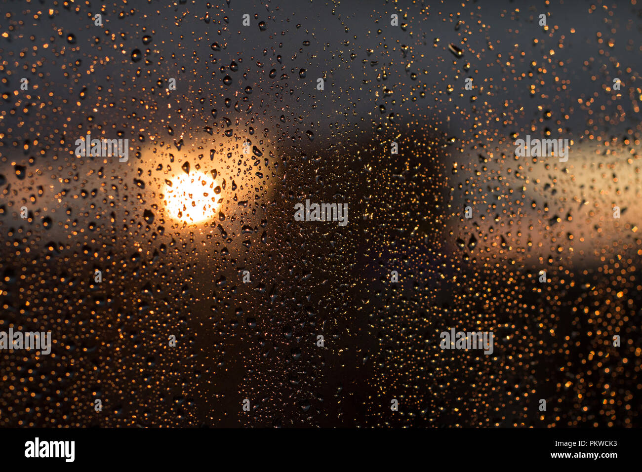 Rainwater drops hi-res stock photography and images - Alamy