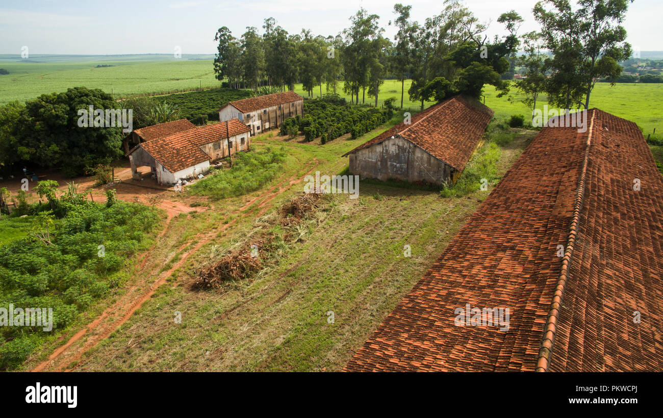 Coffee plantation farm in Brazil. Very simple house and a coffee ...