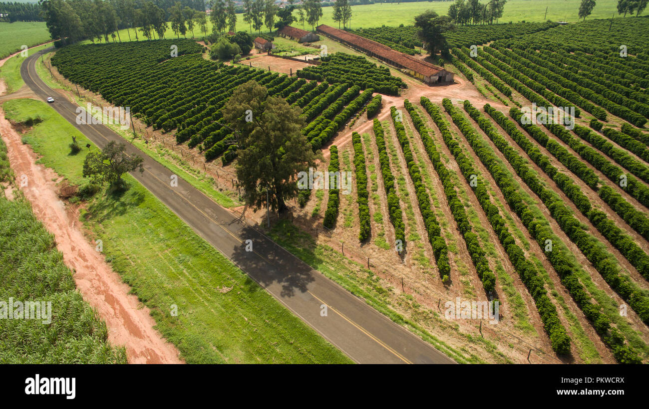 Coffee plantation. Hen house. Simple house Stock Photo - Alamy