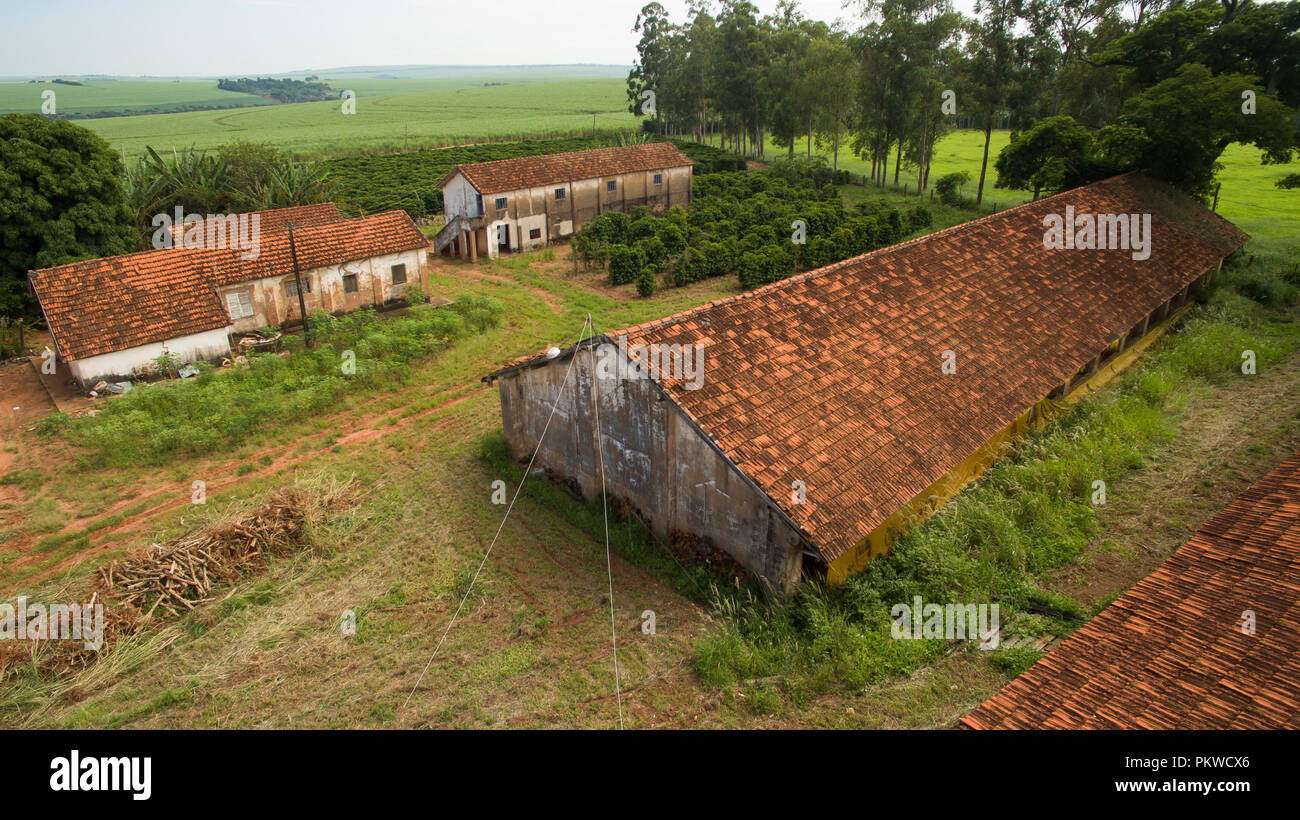 Coffee plantation. Hen house. Simple house Stock Photo - Alamy