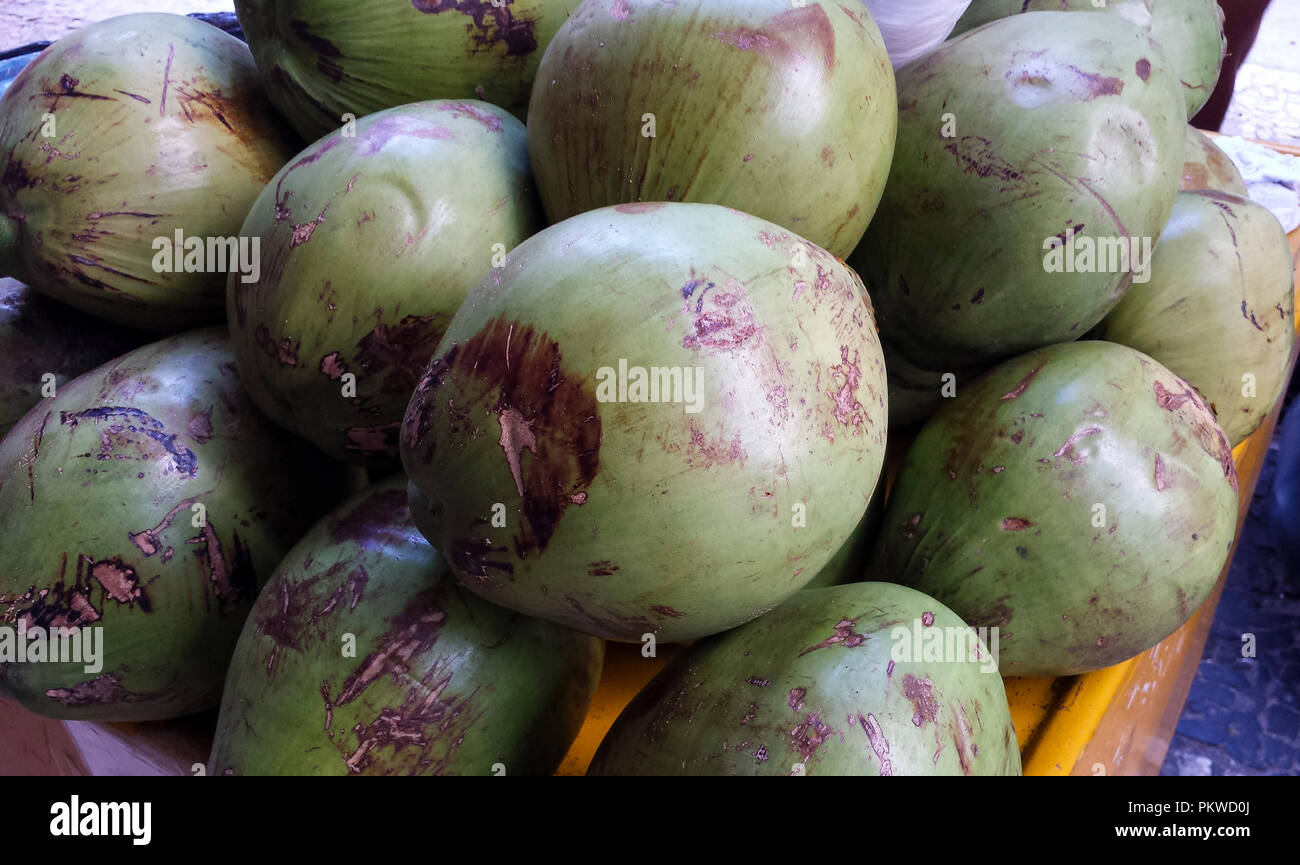Green Coconuts High Resolution Stock Photography and Images - Alamy