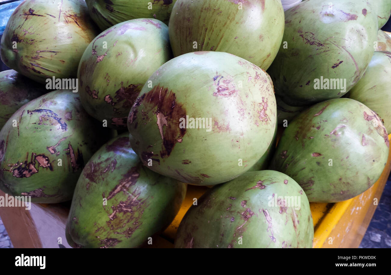 Green Coconuts High Resolution Stock Photography and Images - Alamy